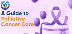 Understanding Palliative Cancer Treatment and Providing Comfort and ...